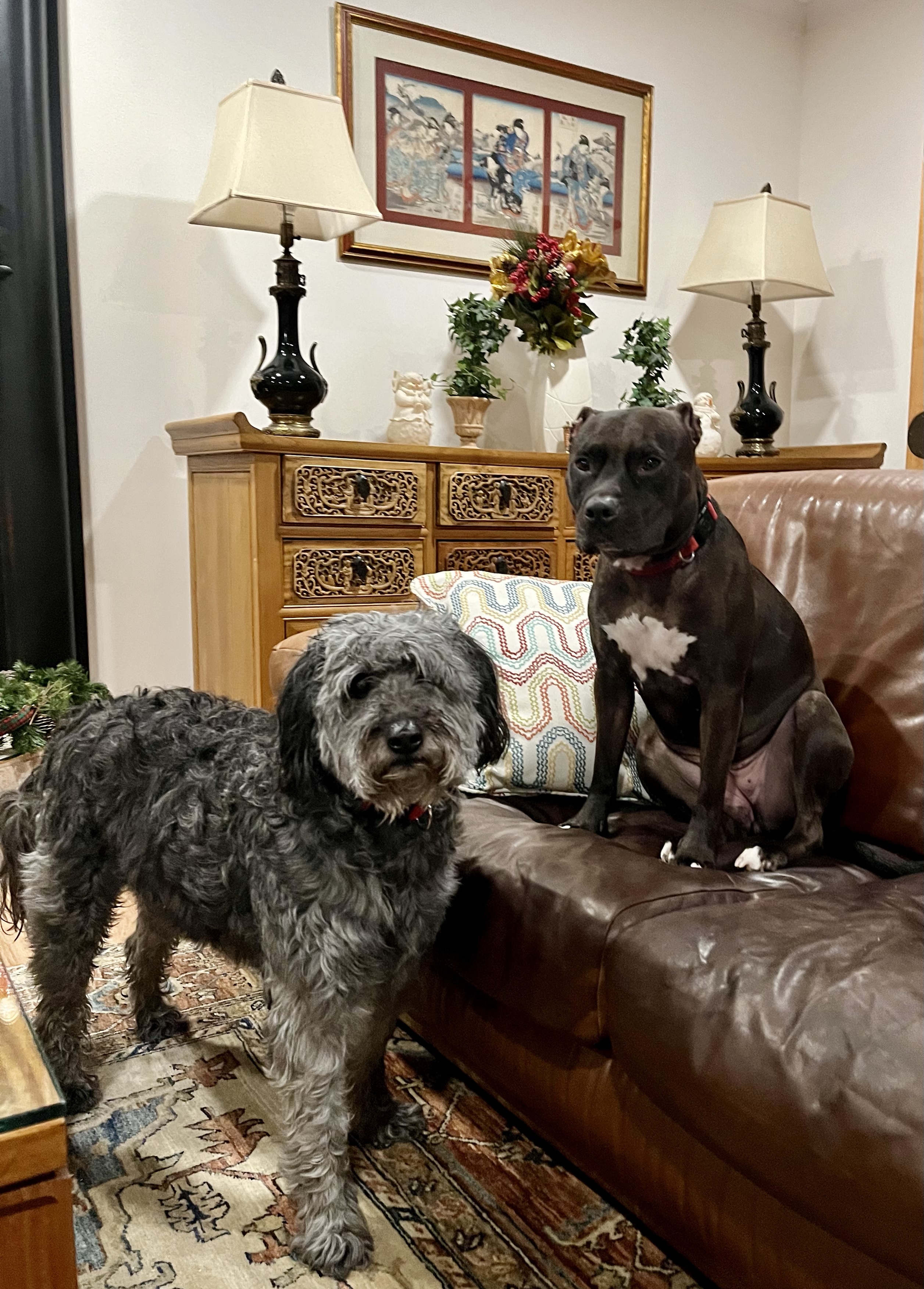 Wagging Tail-2032 – Booming Banter